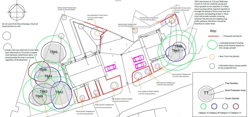 Tree Planting Plans & Services